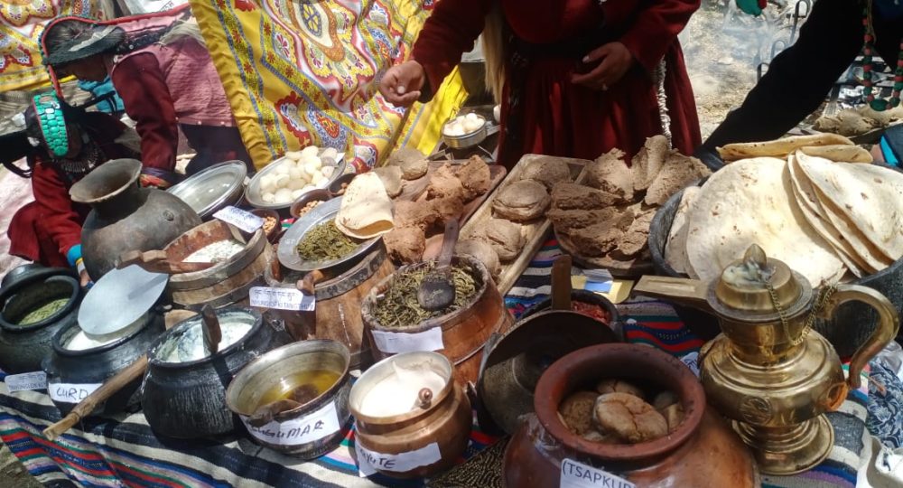 Apricot Blossom Festival celebrated in Lehdo village of Sham region ...