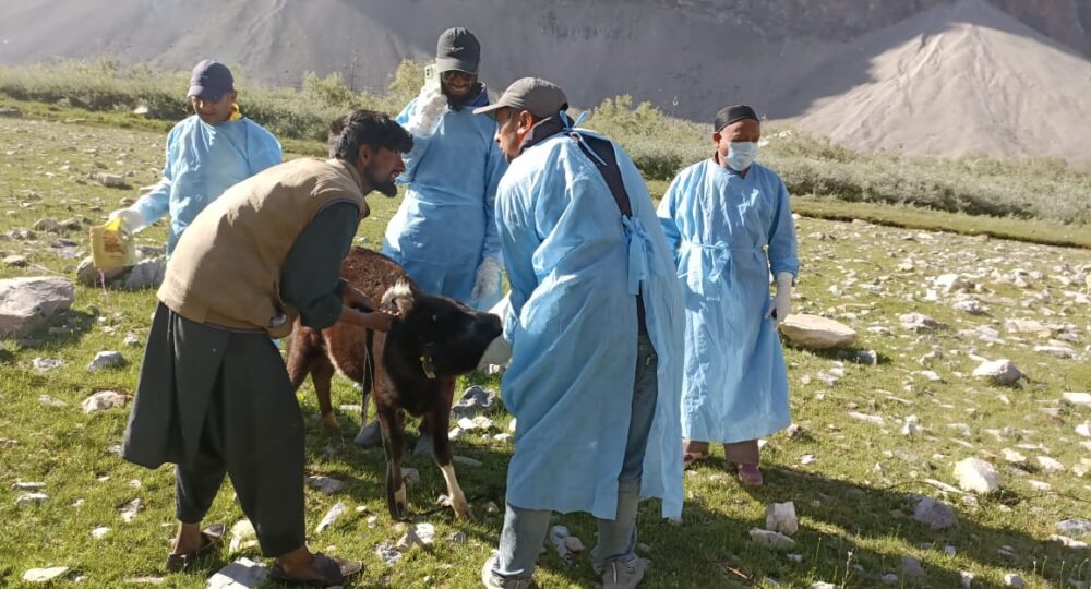 Alert: Foot-and-Mouth disease outbreak in Highland Pastures of Drass ...
