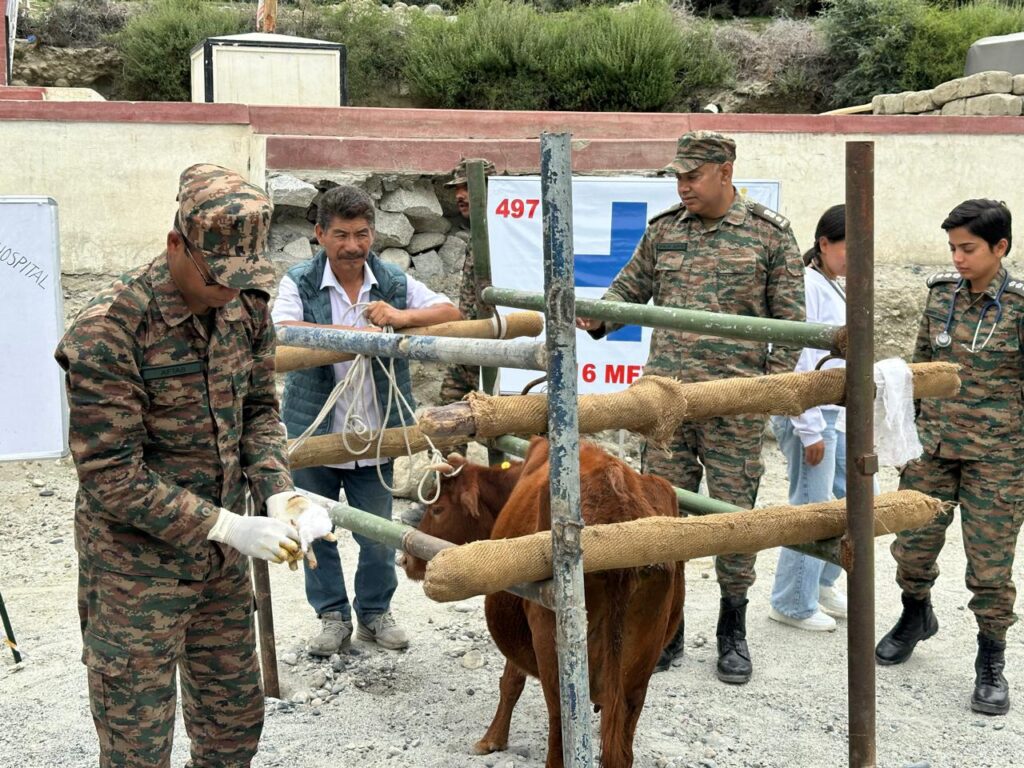 Operation Sadbhavana: 109 animals treated at Nubra veterinary camp ...